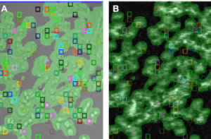 Application Notes from Biosensing Instrument