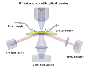 SPR Microscopy - Biosensing Instrument