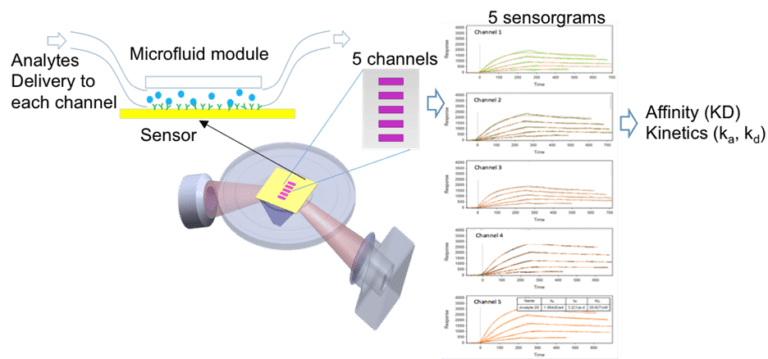 Technical Note 105: Introduction of SPR Microscopy - Biosensing Instrument