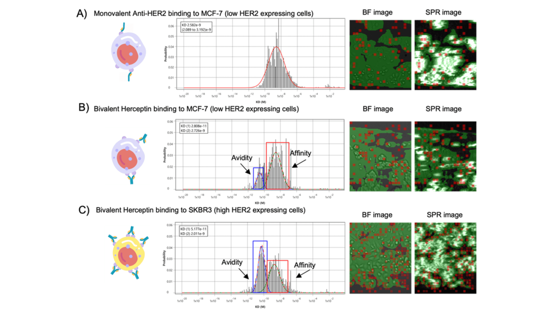 Biosensing Instrument - Biosensing Instrument